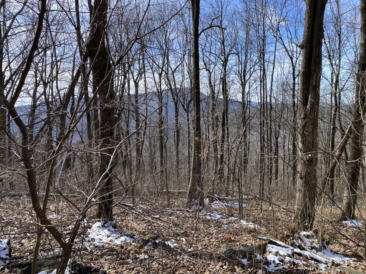 Trail Notes: Saddleback Mountain Loop via the Appalachian Trail - Ridge ...
